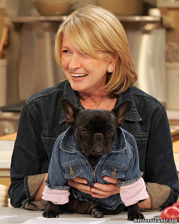 Perfect Hand Made Dog Clothes | I Am No Martha Stewart